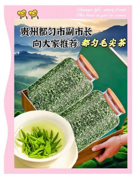 毛尖是什么茶_毛尖怎么泡才最好喝-第2张图片-山城妙识