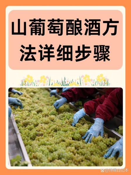 自酿山葡萄酒怎么做_山葡萄酒发酵多久能喝-第1张图片-山城妙识