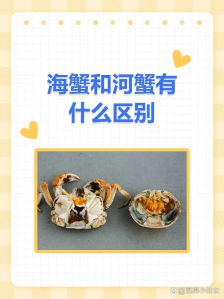男女河蟹是什么意思_男女河蟹的真正含义-第1张图片-山城妙识 男女河蟹是什么意思_男女河蟹的真正含义-第1张图片-山城妙识