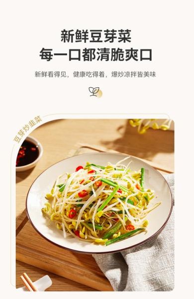 豆芽代理是什么_豆芽代理怎么用-第1张图片-山城妙识 豆芽代理是什么_豆芽代理怎么用-第1张图片-山城妙识