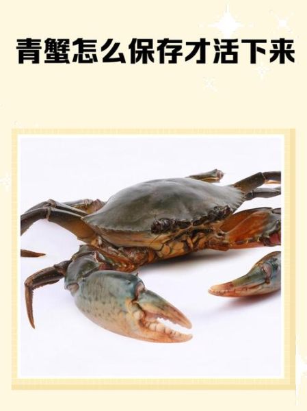 青蟹怎么保存活得久_青蟹能活多久-第1张图片-山城妙识