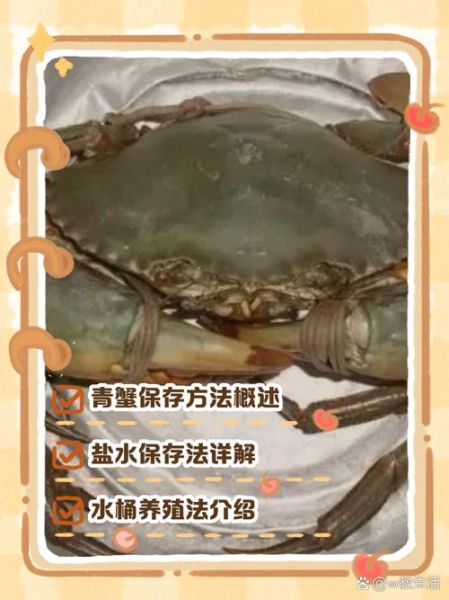 青蟹怎么保存活得久_青蟹能活多久-第2张图片-山城妙识