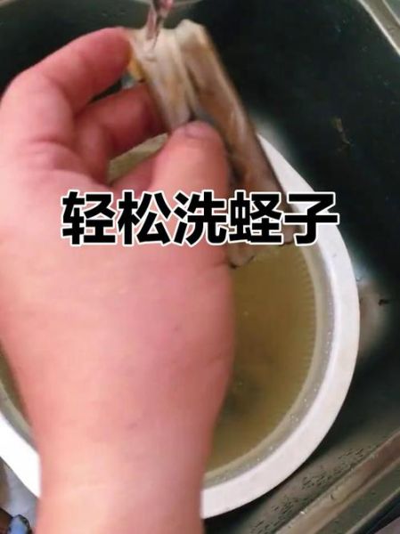 蛏子怎么洗干净_蛏子清洗技巧-第2张图片-山城妙识
