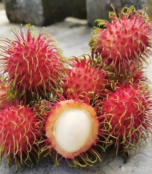 红毛丹一天吃几个最好_红毛丹吃多了会怎样-第1张图片-山城妙识