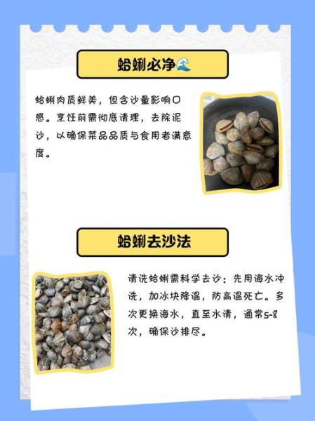 文蛤肉怎么清洗_文蛤肉怎么炒才嫩-第2张图片-山城妙识