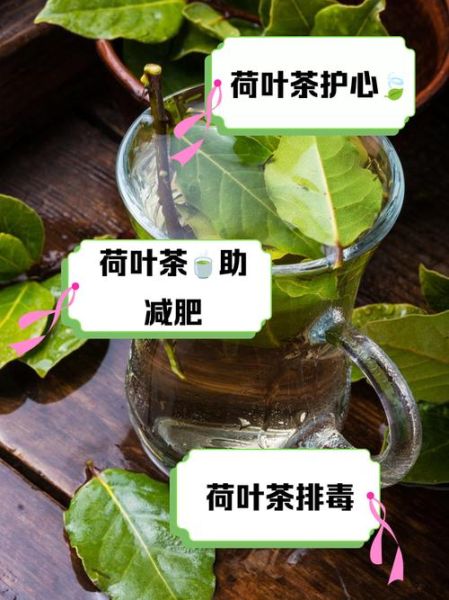 荷叶的作用与功效_荷叶泡水能减肥吗-第1张图片-山城妙识