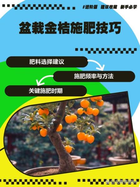 金桔树施什么肥料最好_金桔树施肥时间和方法-第1张图片-山城妙识