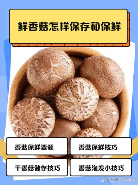 鲜蘑菇怎么保存_鲜蘑菇可以冷冻吗-第1张图片-山城妙识 鲜蘑菇怎么保存_鲜蘑菇可以冷冻吗-第1张图片-山城妙识