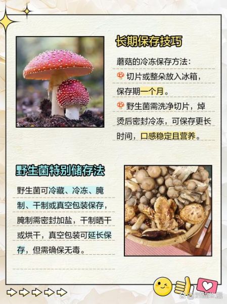 鲜蘑菇怎么保存_鲜蘑菇可以冷冻吗-第2张图片-山城妙识 鲜蘑菇怎么保存_鲜蘑菇可以冷冻吗-第2张图片-山城妙识