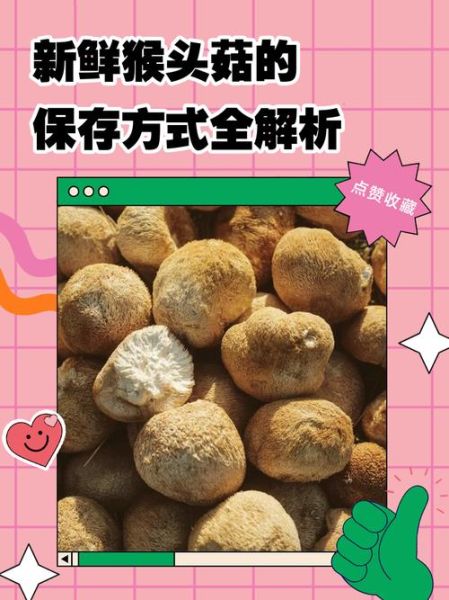 鲜蘑菇怎么保存_鲜蘑菇可以冷冻吗-第3张图片-山城妙识 鲜蘑菇怎么保存_鲜蘑菇可以冷冻吗-第3张图片-山城妙识