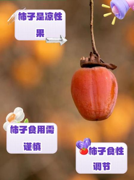 柿子是热性还是凉性_吃柿子会上火吗-第2张图片-山城妙识