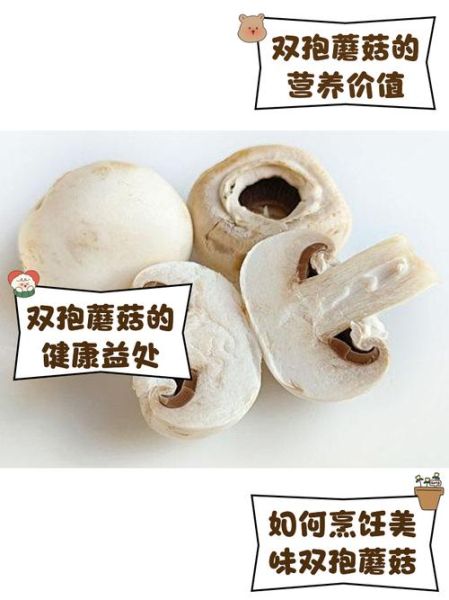 双孢菇种植技术_如何在家种出高产双孢菇-第1张图片-山城妙识 双孢菇种植技术_如何在家种出高产双孢菇-第1张图片-山城妙识