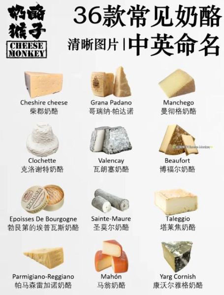 cheese英文怎么拼写_cheese和cheeze区别-第1张图片-山城妙识