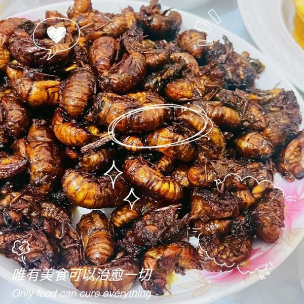 知了能吃吗_对人有害吗-第3张图片-山城妙识 知了能吃吗_对人有害吗-第3张图片-山城妙识