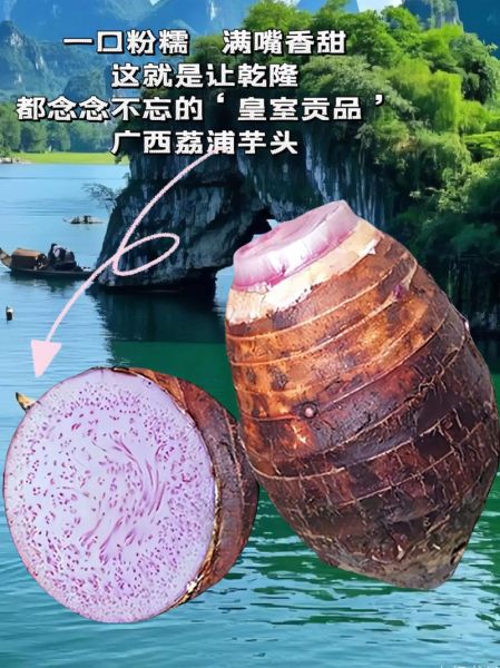 荔浦芋头怎么蒸才软糯_蒸荔浦芋头需要多长时间-第3张图片-山城妙识