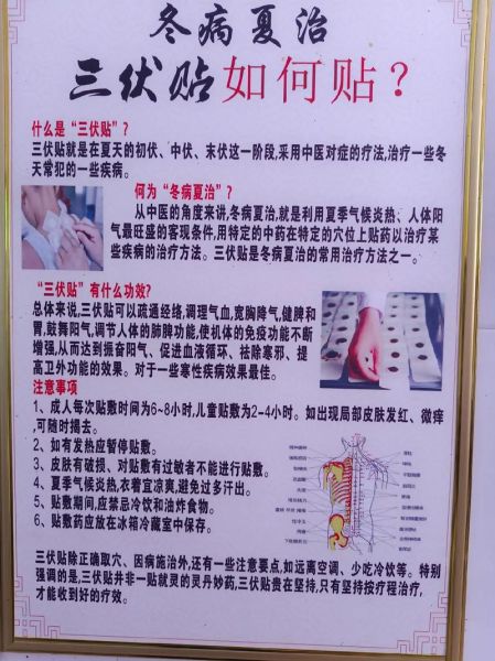 三伏天如何养生_三伏贴什么时候贴最好-第2张图片-山城妙识