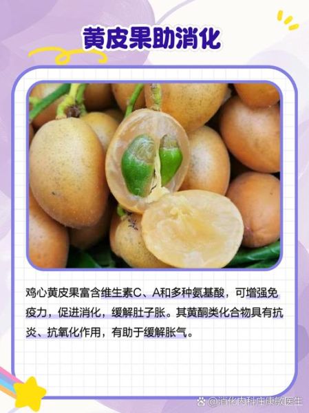 鸡心黄皮怎么种_鸡心黄皮的功效与作用-第1张图片-山城妙识