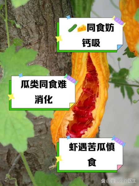 苦瓜不能和什么一起吃_苦瓜相克食物有哪些-第3张图片-山城妙识