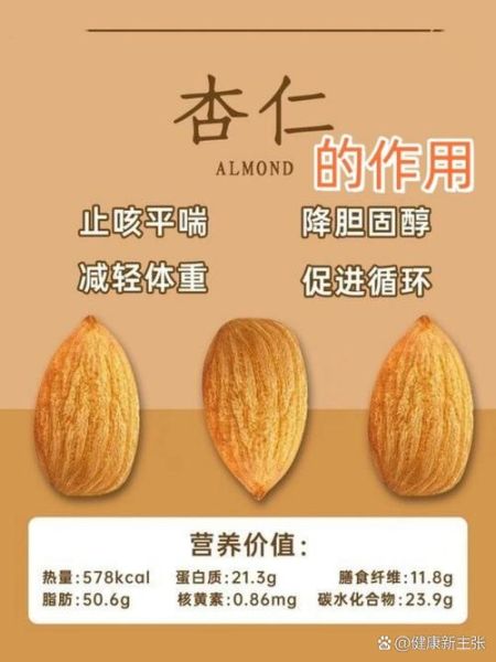 多吃杏仁有什么好处_每天吃多少才健康-第3张图片-山城妙识 多吃杏仁有什么好处_每天吃多少才健康-第3张图片-山城妙识