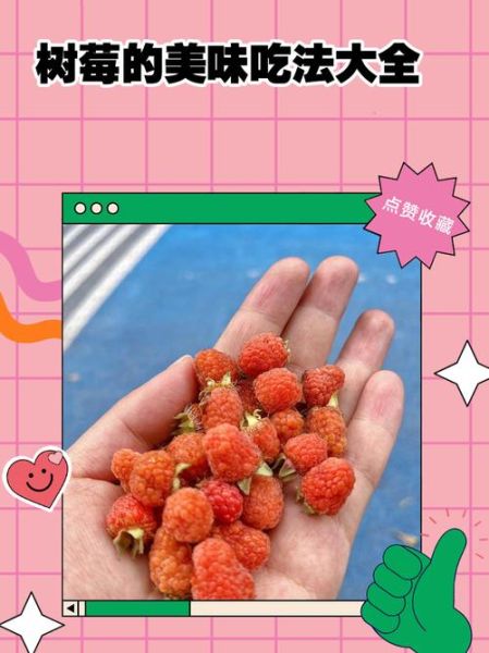 树梅的功效与作用_树梅怎么吃最好-第2张图片-山城妙识