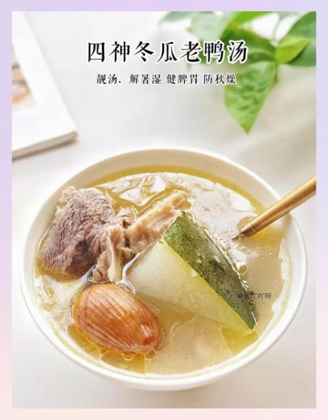 冬瓜老鸭汤的做法_冬瓜老鸭汤的功效-第2张图片-山城妙识