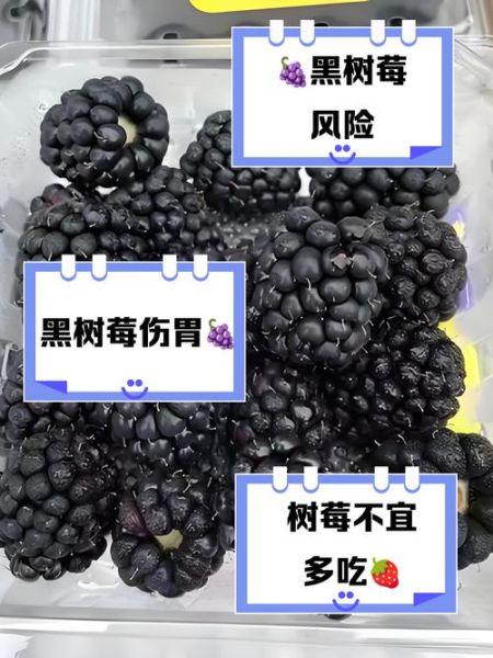 黑树莓的功效与作用_黑树莓怎么吃最好-第1张图片-山城妙识