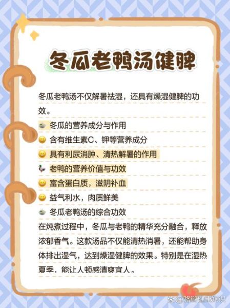 冬瓜老鸭汤的做法_冬瓜老鸭汤的功效-第1张图片-山城妙识