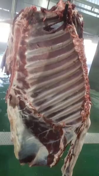 鹿肉多少钱一斤_鹿肉价格现在市场价-第3张图片-山城妙识