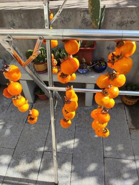 怎么晒柿饼子_柿饼子晒多久才能吃-第2张图片-山城妙识