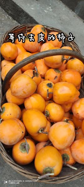 怎么晒柿饼子_柿饼子晒多久才能吃-第3张图片-山城妙识