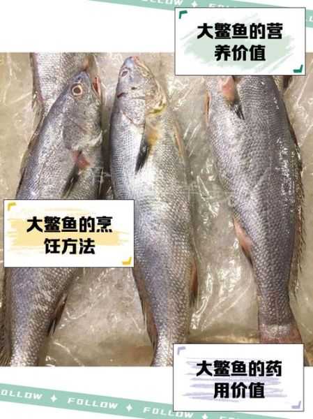 鳘怎么读_鳘鱼是什么鱼-第2张图片-山城妙识