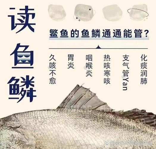 鳘怎么读_鳘鱼是什么鱼-第3张图片-山城妙识