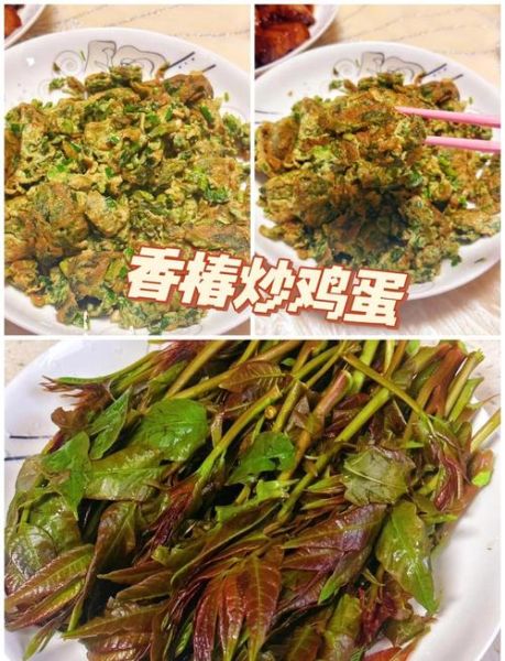 红香椿炒鸡蛋怎么做_红香椿炒鸡蛋需要焯水吗-第1张图片-山城妙识