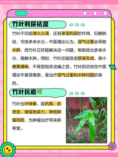 竹叶的功效与作用_竹叶的禁忌有哪些-第2张图片-山城妙识