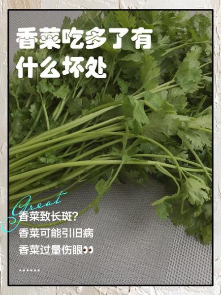 香菜吃多了有什么坏处_香菜过量副作用-第1张图片-山城妙识