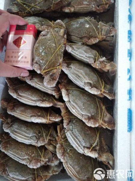 蓝花蟹多少钱一斤_蓝花蟹价格行情-第2张图片-山城妙识