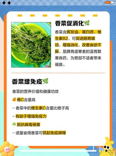 香菜吃多了有什么坏处_香菜过量副作用-第3张图片-山城妙识