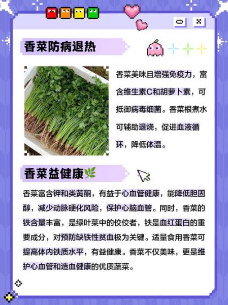 香菜吃多了有什么坏处_香菜过量副作用-第2张图片-山城妙识