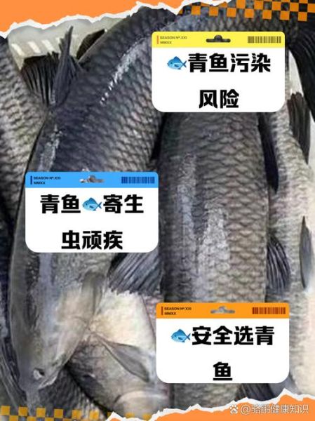 青鱼为什么不吃头_鱼头能不能吃-第1张图片-山城妙识