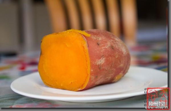 番薯学院大番薯网是什么_如何高效使用-第2张图片-山城妙识