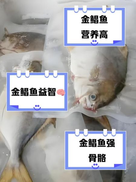 超市的金鲳鱼敢吃吗_金鲳鱼安全选购指南-第3张图片-山城妙识