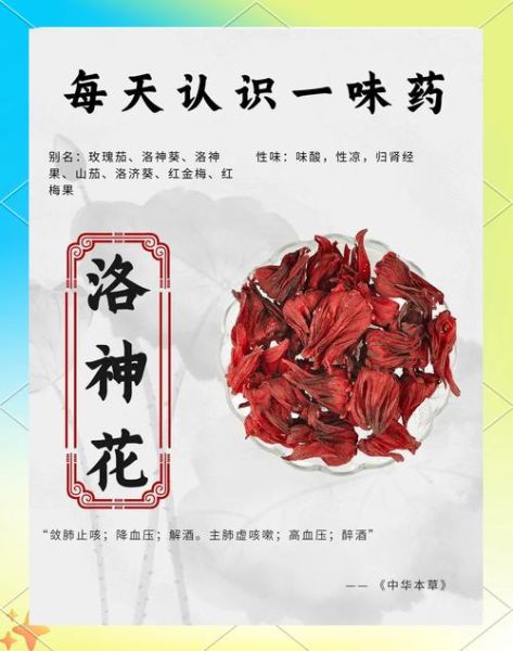 洛神花不能和什么一起吃_洛神花禁忌搭配-第2张图片-山城妙识
