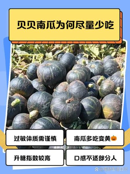 贝贝小南瓜不能和什么一起吃_哪些人不能吃贝贝小南瓜-第1张图片-山城妙识