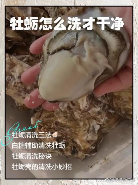 生蚝怎么清洗干净_生蚝清洗步骤-第1张图片-山城妙识