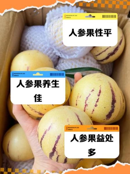 干人参果的功效与作用_干人参果怎么吃最好-第3张图片-山城妙识 干人参果的功效与作用_干人参果怎么吃最好-第3张图片-山城妙识