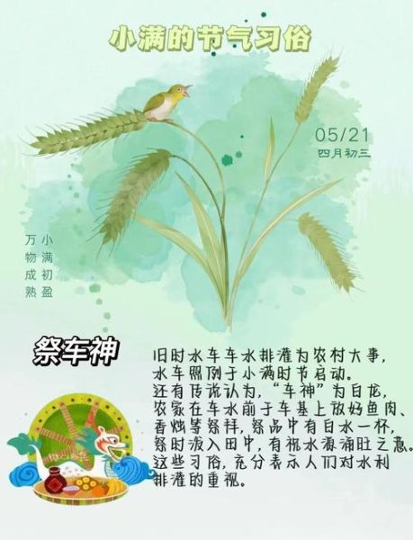 小满节气的含义是什么_小满节气有哪些传统习俗-第2张图片-山城妙识 小满节气的含义是什么_小满节气有哪些传统习俗-第2张图片-山城妙识