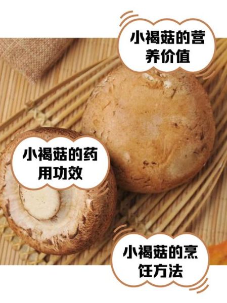 褐菇怎么做好吃_褐菇的家常做法大全-第1张图片-山城妙识 褐菇怎么做好吃_褐菇的家常做法大全-第1张图片-山城妙识