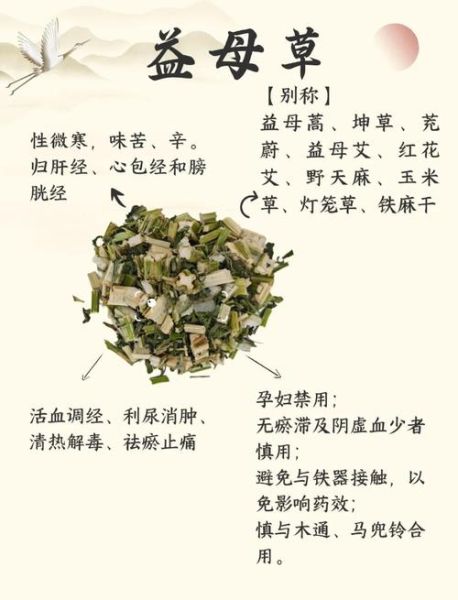 益母草调经什么时候吃_经期前还是后-第2张图片-山城妙识