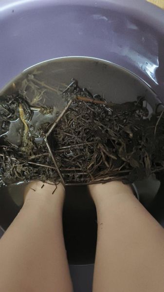 艾草泡脚的正确方法_艾草泡脚多久见效-第1张图片-山城妙识