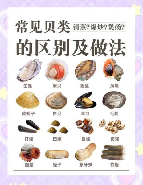 贝类海鲜品种有哪些_如何挑选新鲜贝类-第2张图片-山城妙识 贝类海鲜品种有哪些_如何挑选新鲜贝类-第2张图片-山城妙识
